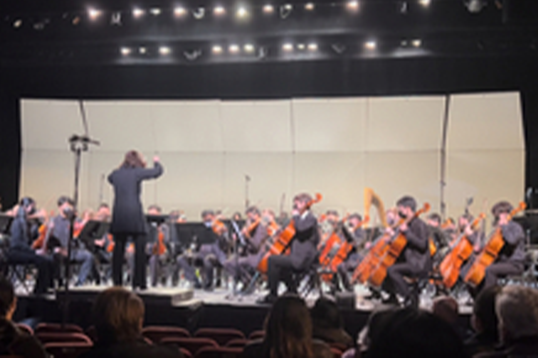 BWW Review: A CONCERT FOR PEACE at Union County Performing Arts Center ...